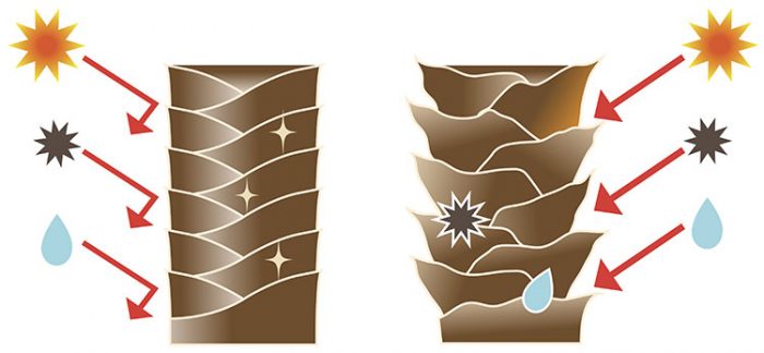 El CHAMPÚ SÓLIDO natural que CUIDA tu PELO ♡ Sapone di Valeria
